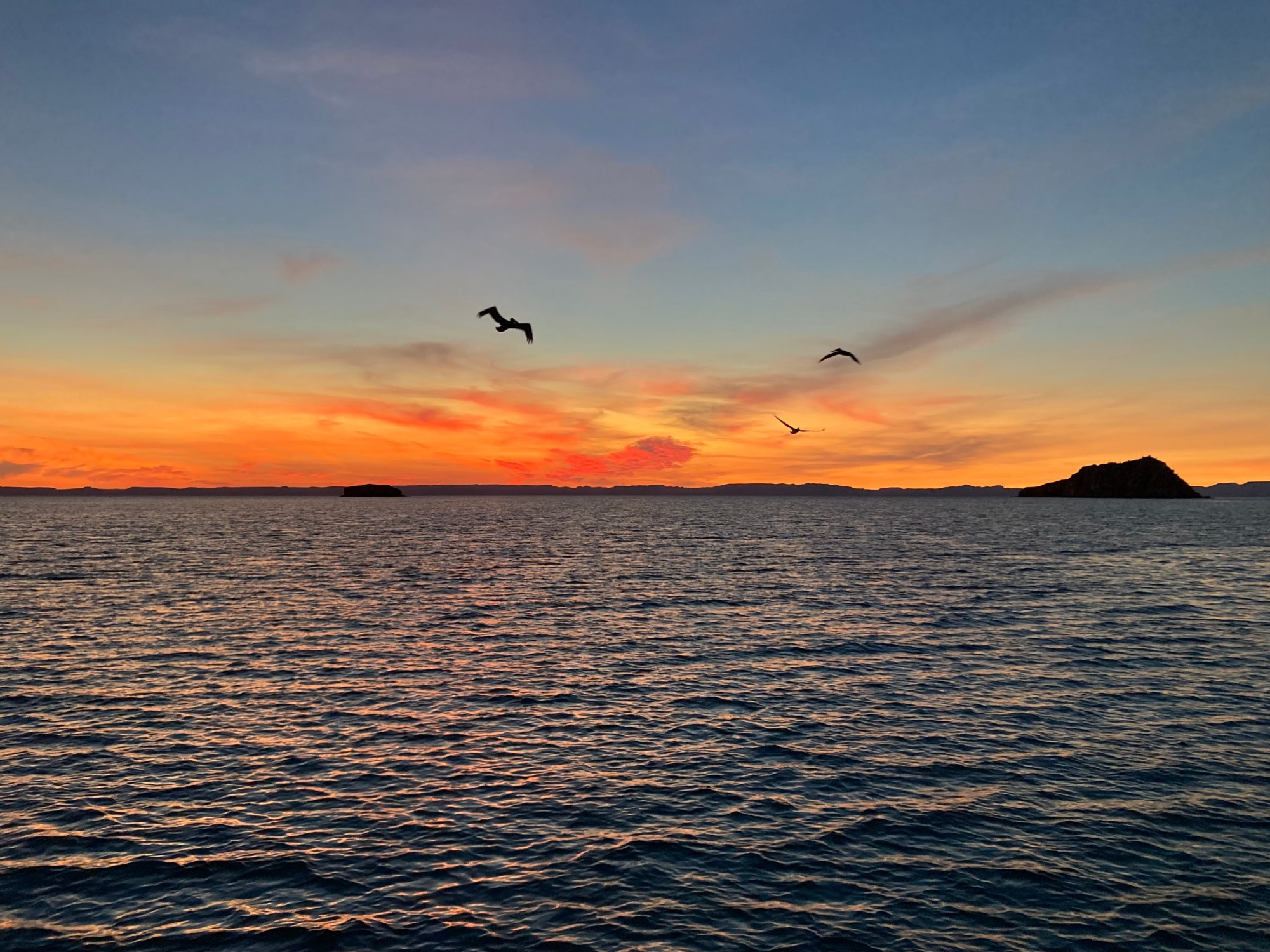 Isla Espirítu Santo